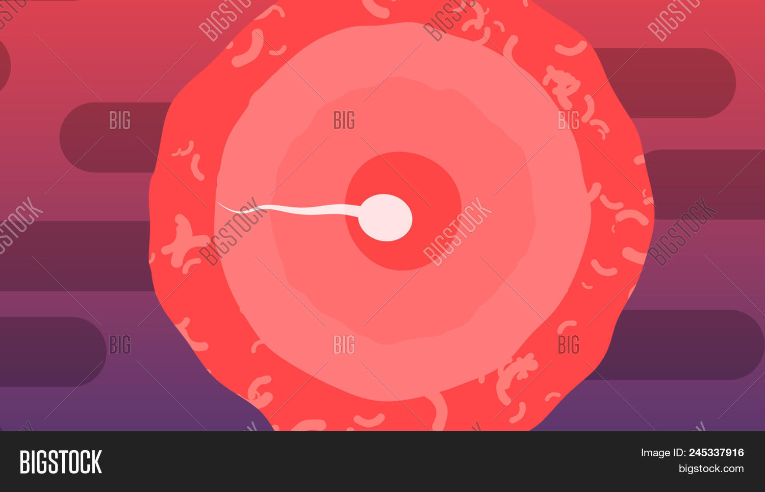 Cartoon Spermatozoid Image & Photo (Free Trial) | Bigstock