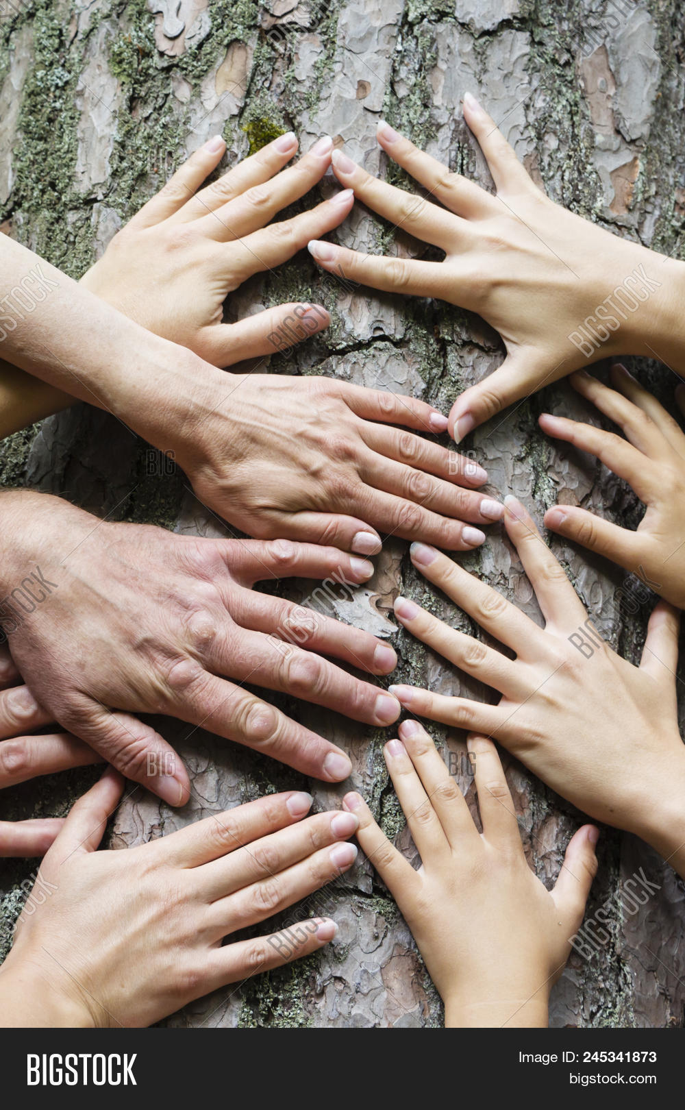 Many Hands On Image & Photo (Free Trial) | Bigstock