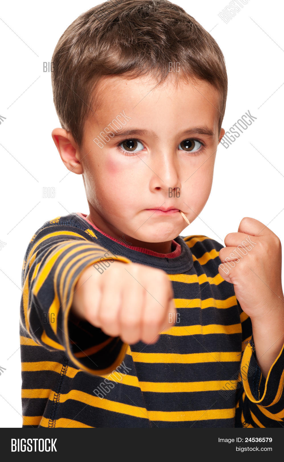 Little Bully Toothpick Image & Photo (Free Trial) | Bigstock