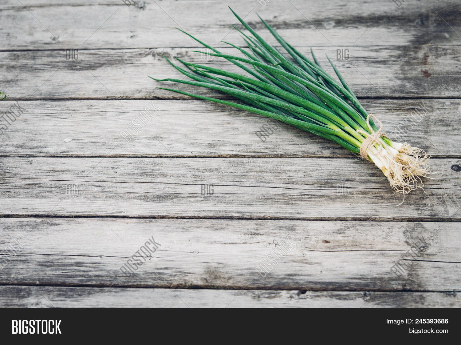 Fresh Green Onion On Image & Photo (Free Trial) | Bigstock