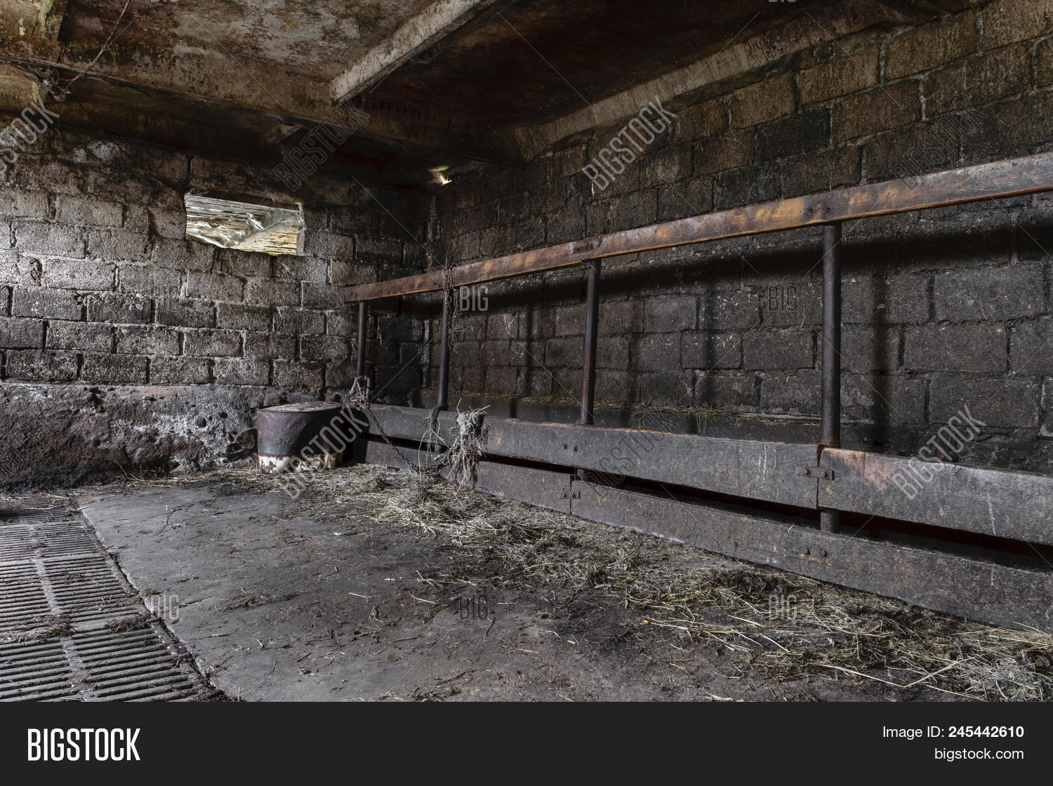 Dirty Dark Farm Room Image & Photo (Free Trial) | Bigstock