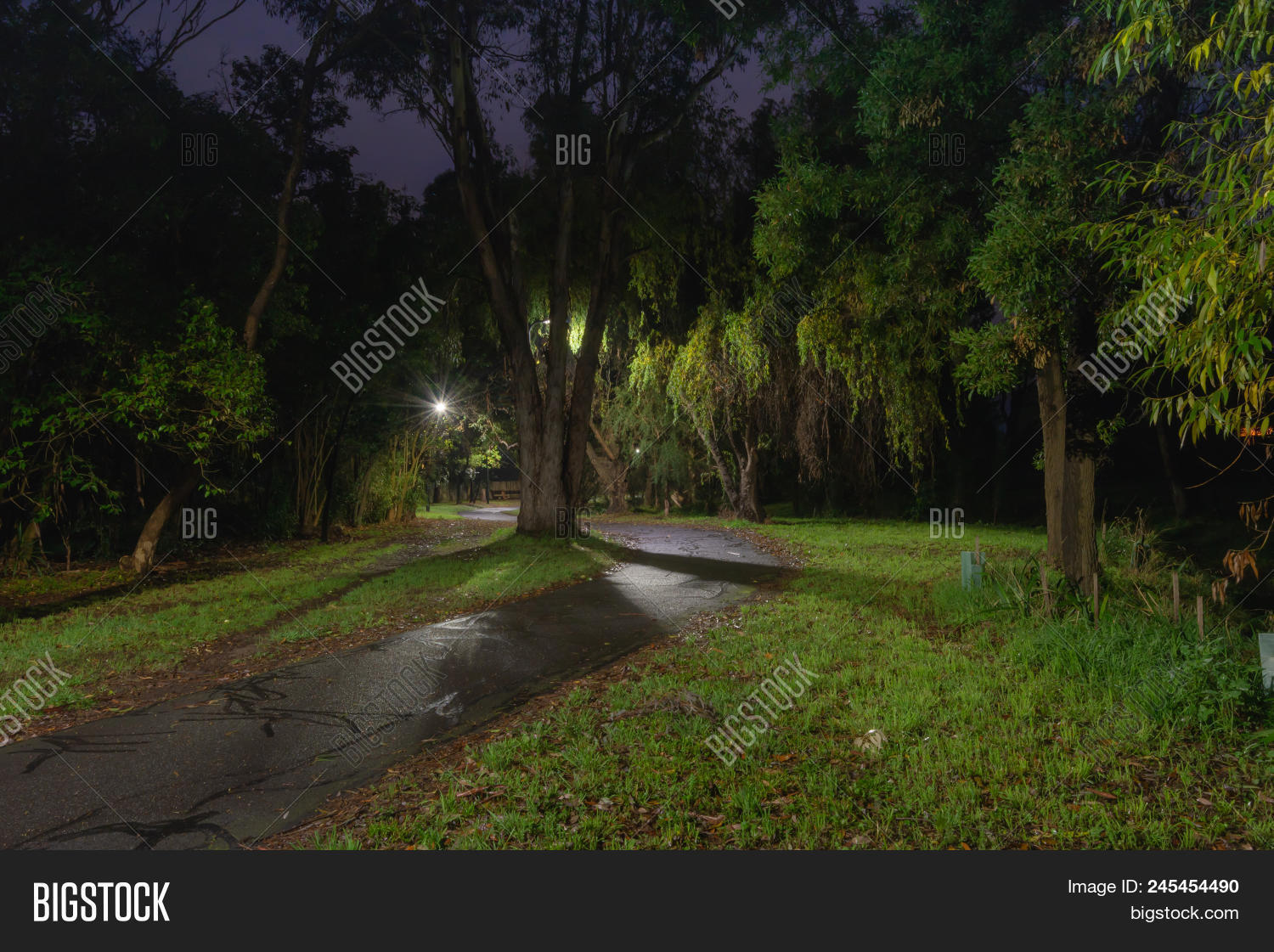Footpath Night Between Image & Photo (Free Trial) | Bigstock