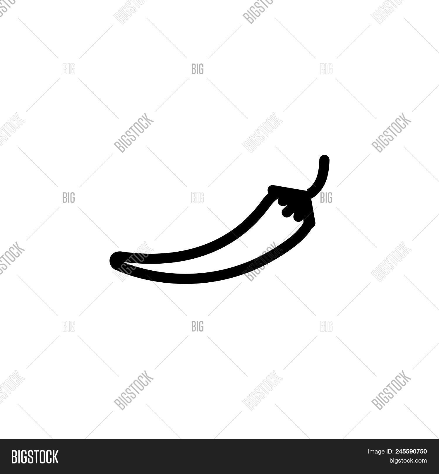 Chilli Pepper Vector Vector & Photo (Free Trial) | Bigstock