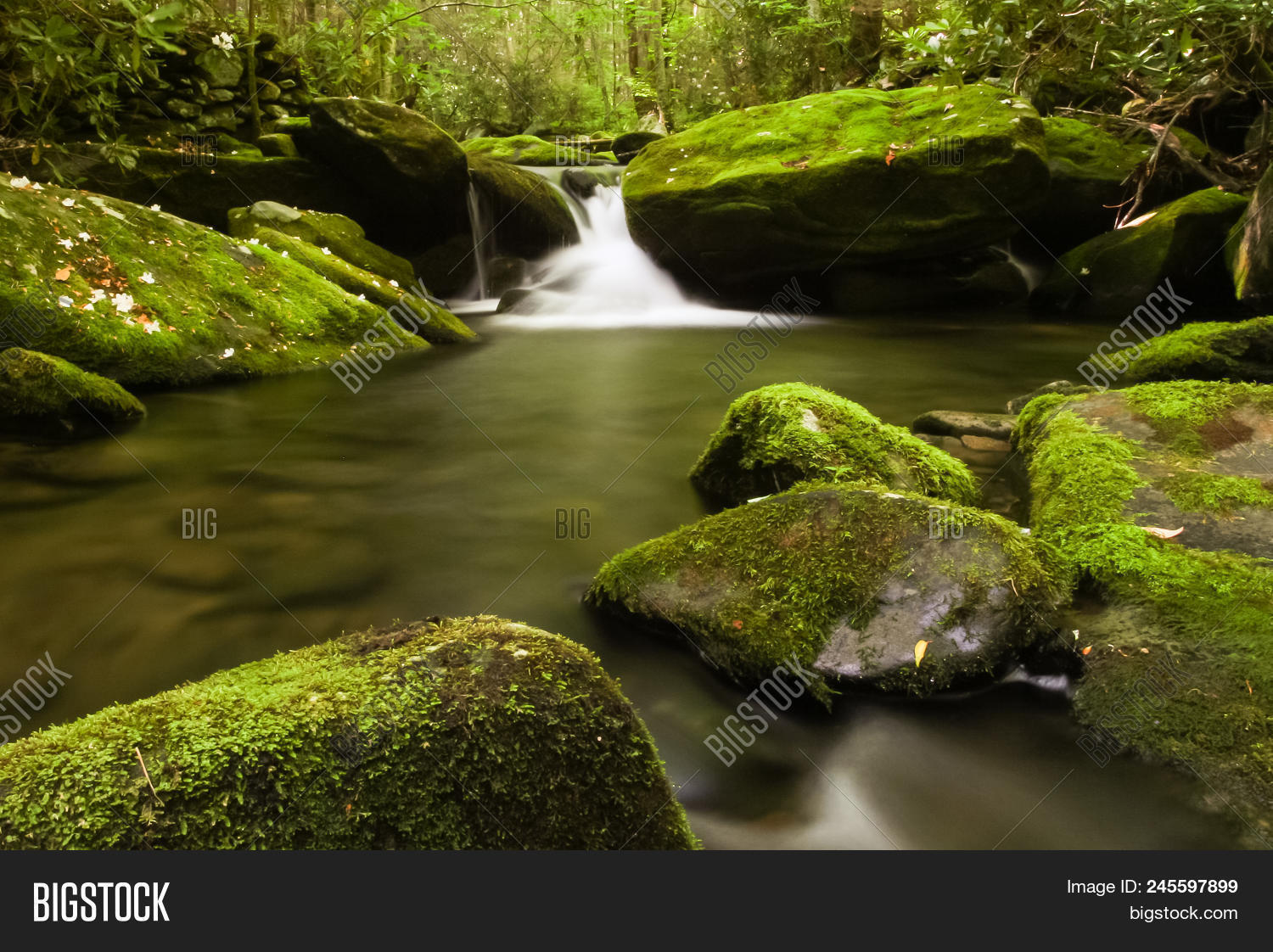 Creek Flowing Over Image & Photo (Free Trial) | Bigstock