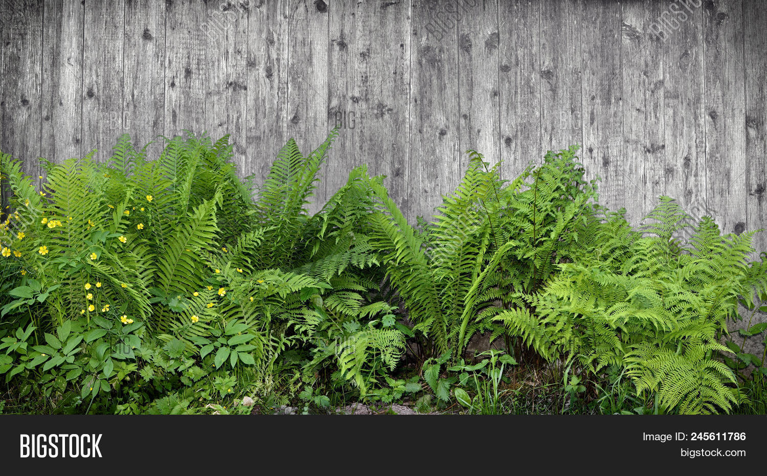 Natural Rustic Image & Photo (Free Trial) | Bigstock