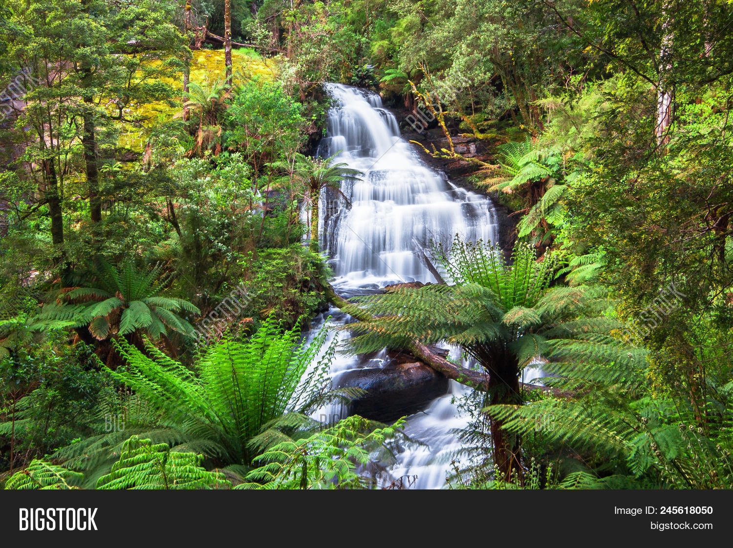 Triplet Falls Great Image & Photo (Free Trial) | Bigstock