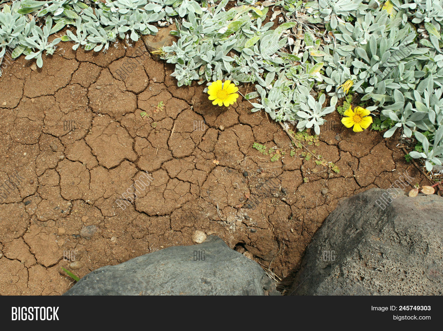 Close Volcanic Ground Image & Photo (Free Trial) | Bigstock
