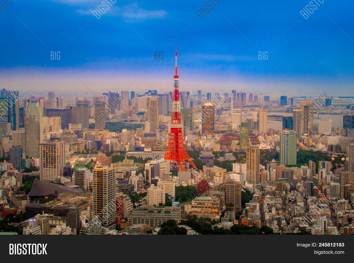 Vibrant Color Tokyo Image & Photo (Free Trial) | Bigstock