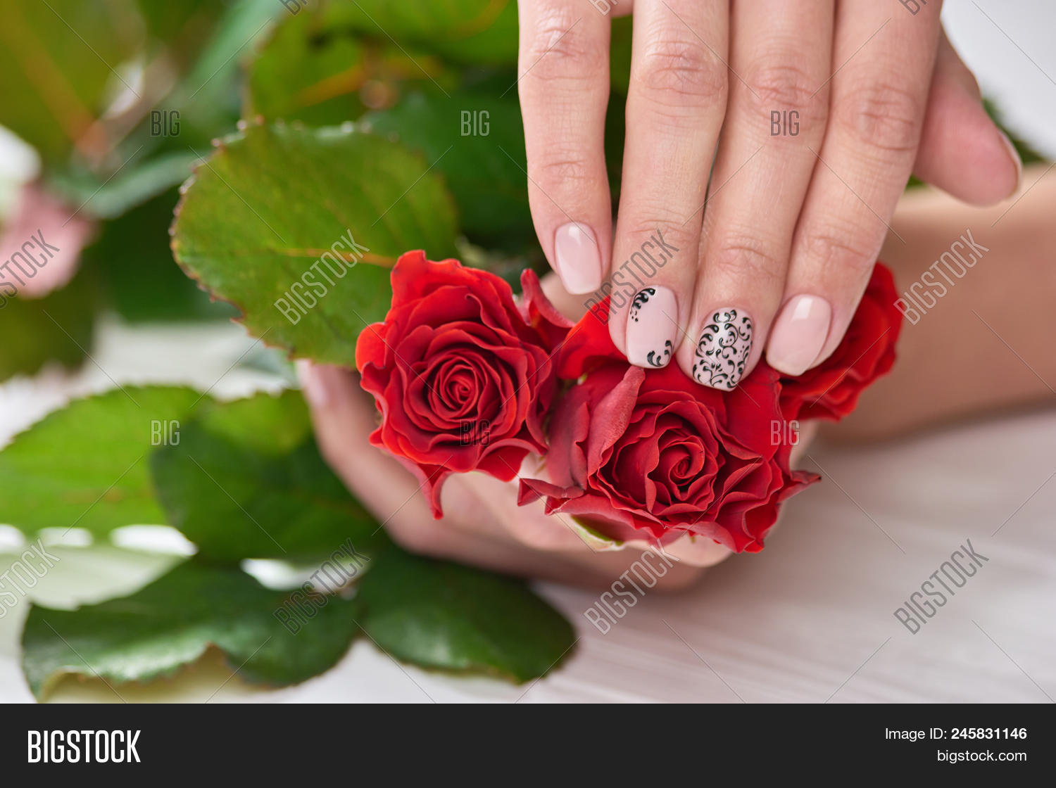Female Manicured Hands Image & Photo (Free Trial) | Bigstock