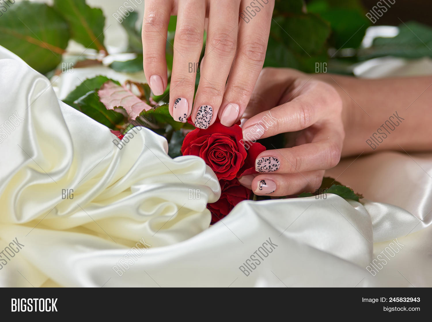 Female Hands Red Roses Image & Photo (Free Trial) | Bigstock