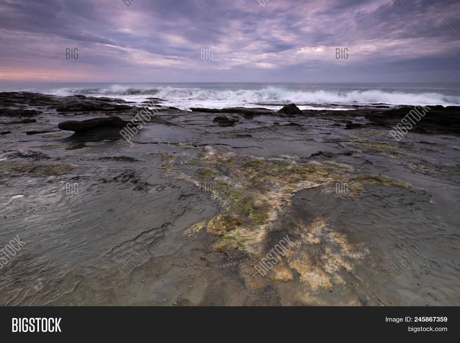 Coastline Rock Shelf Image & Photo (Free Trial) | Bigstock