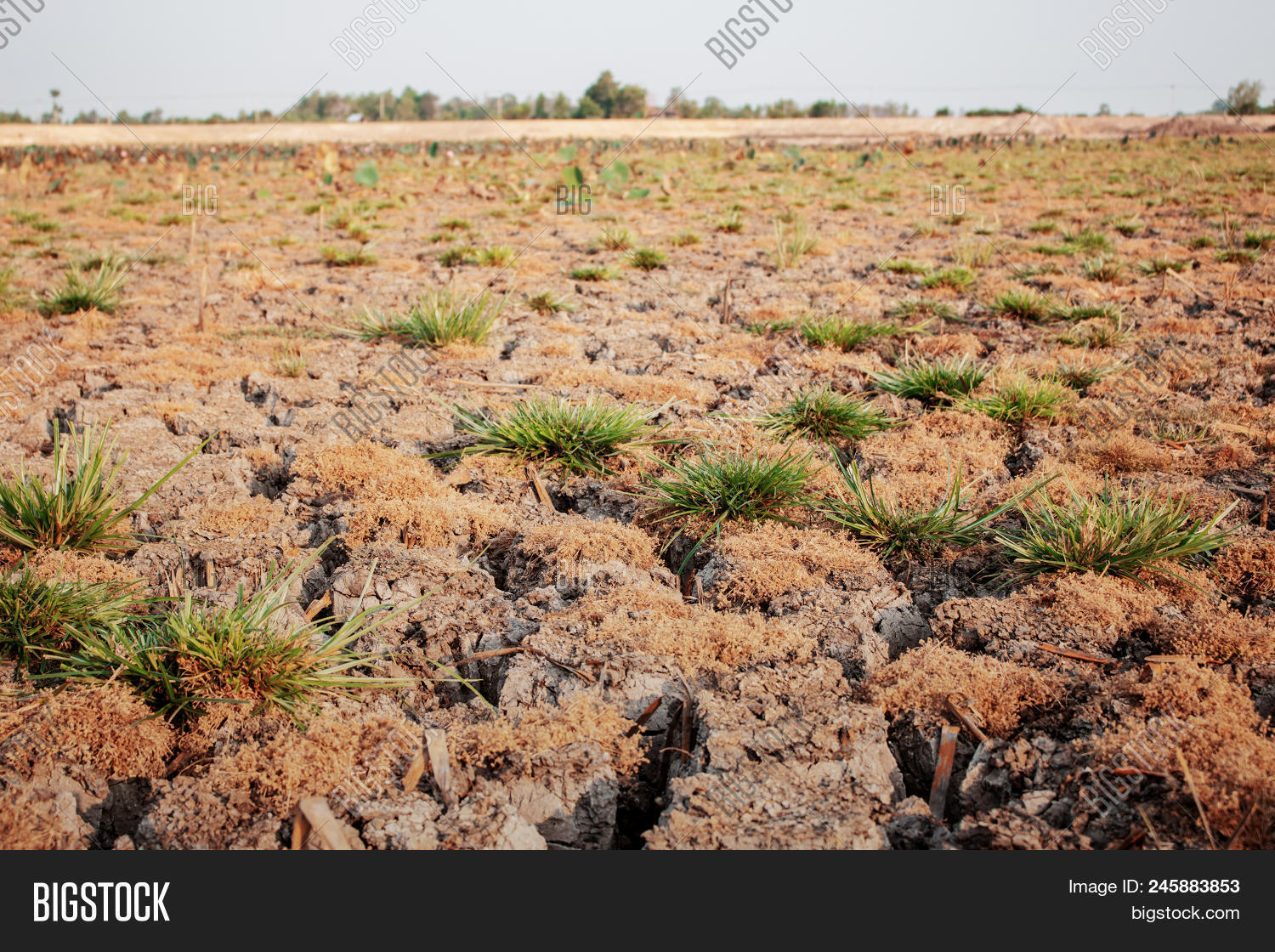 Arid Soil Images