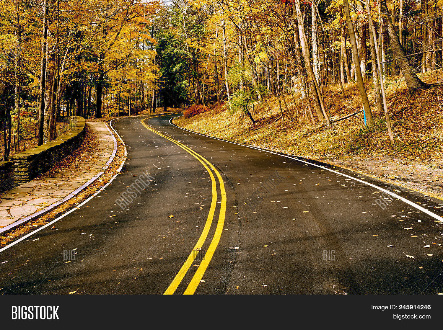 Autumn Scene Road Image & Photo (Free Trial) | Bigstock