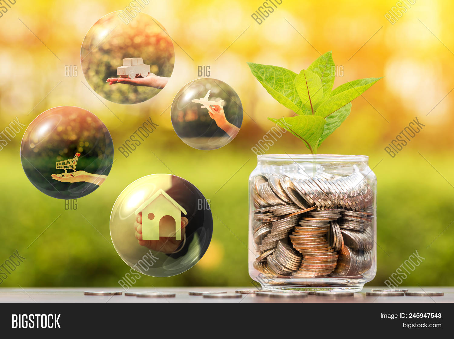Bottle Bank Money Seed Image & Photo (Free Trial) | Bigstock
