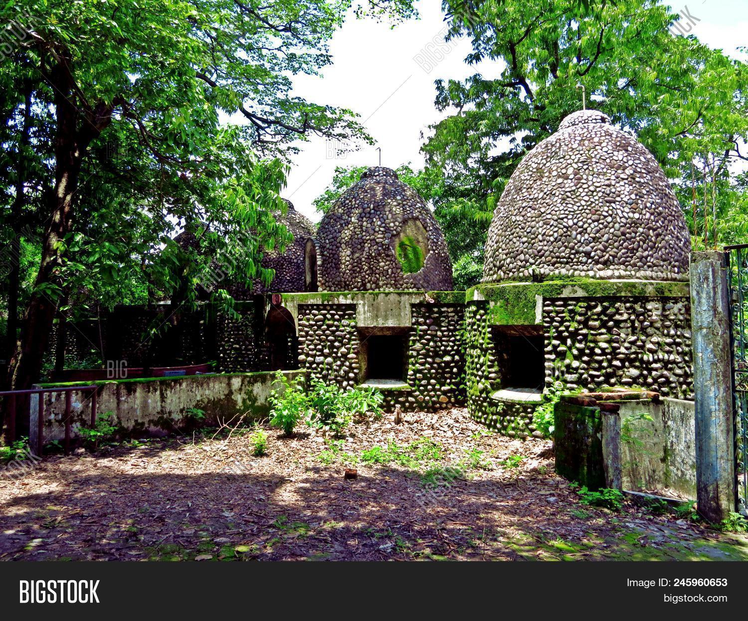 Meditation Cells Image & Photo (Free Trial) | Bigstock