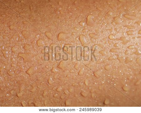 Texture Tanned Human Image & Photo (Free Trial) | Bigstock