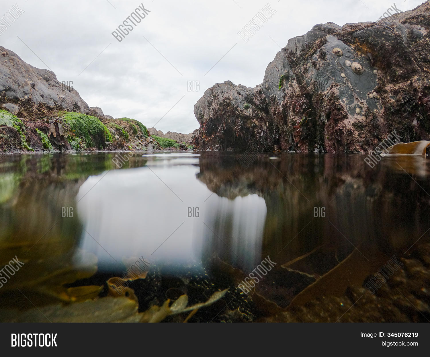 Macro View Micro Image & Photo (Free Trial) | Bigstock