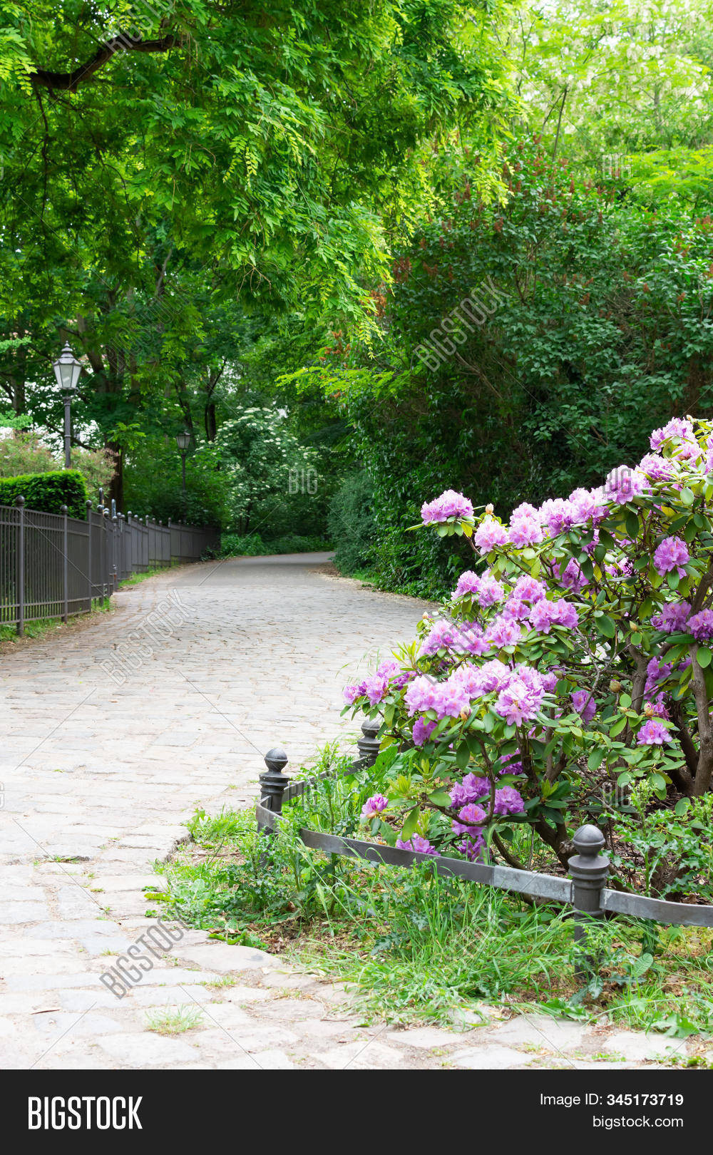 Walk On Warm Sunny Day Image & Photo (Free Trial) | Bigstock