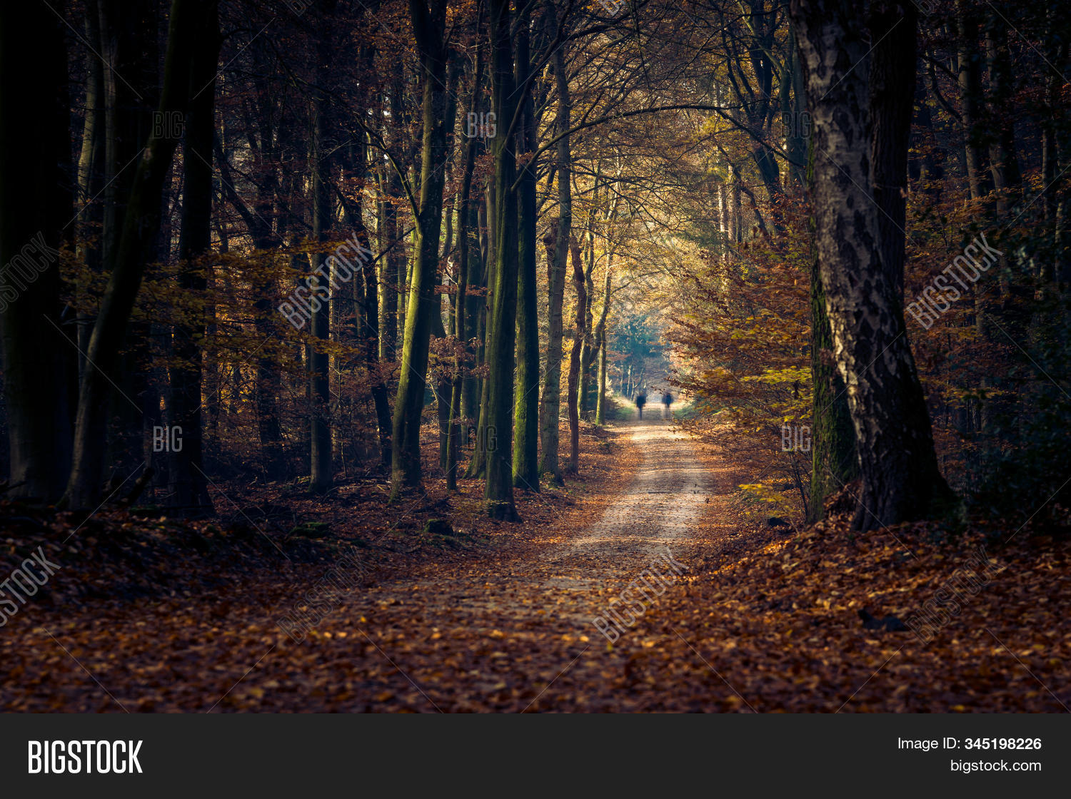 Early Moring Stroll Image & Photo (Free Trial) | Bigstock