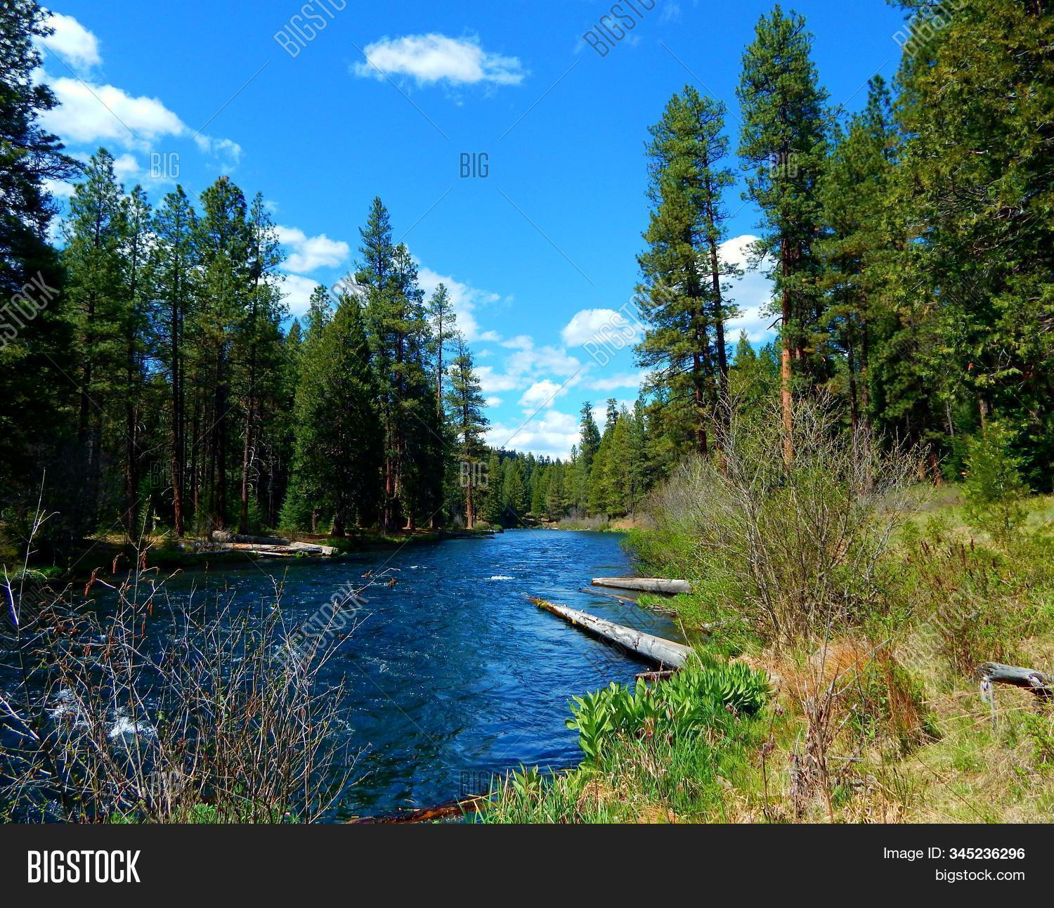 Downriver Scene - Image & Photo (Free Trial) | Bigstock