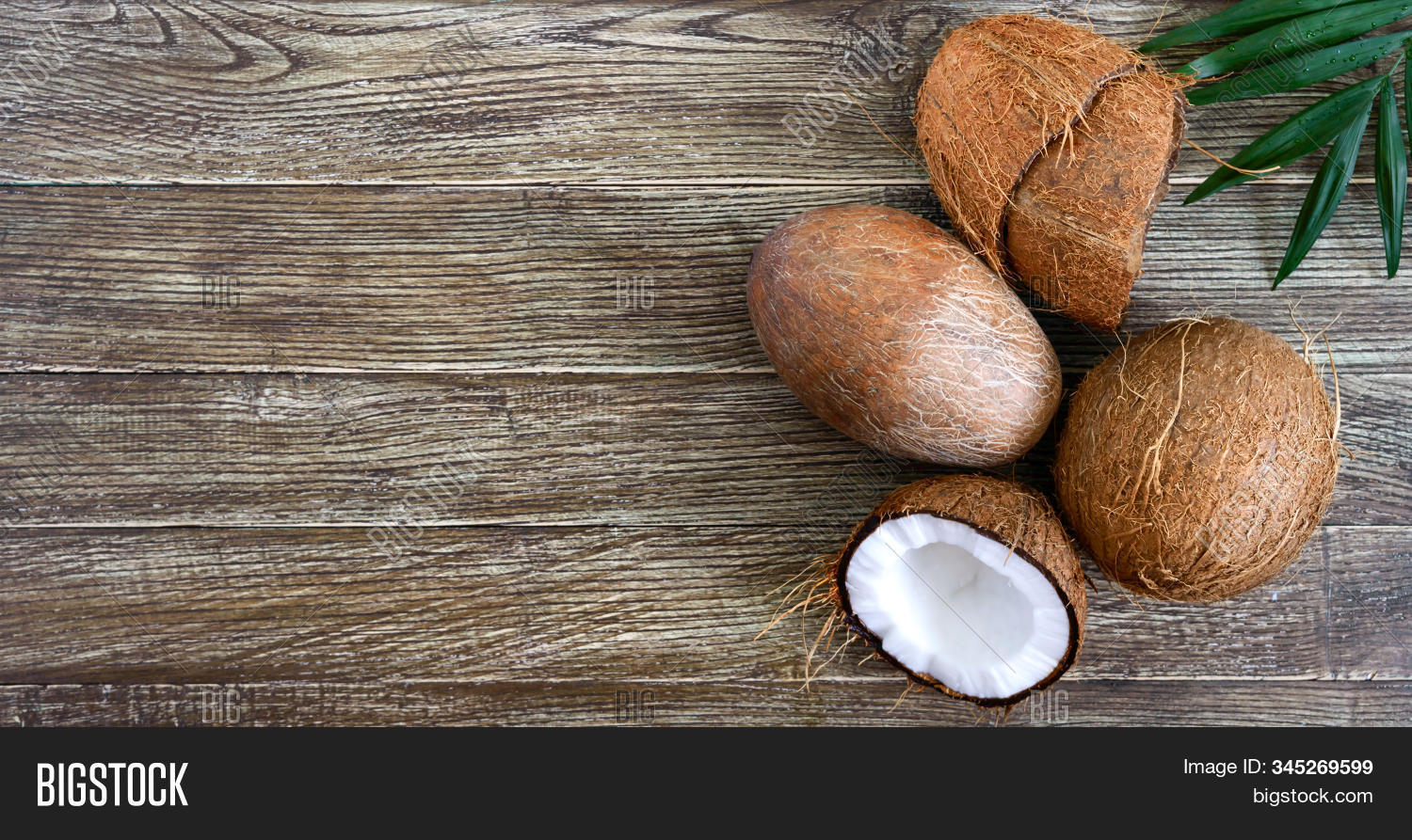 Coconut. Whole Coconut Image & Photo (Free Trial) | Bigstock