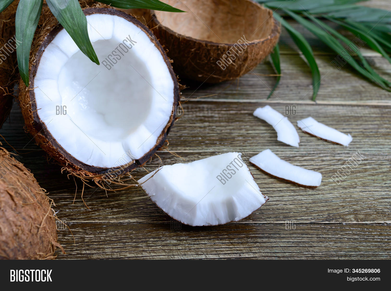 Coconut. Whole Coconut Image & Photo (Free Trial) | Bigstock