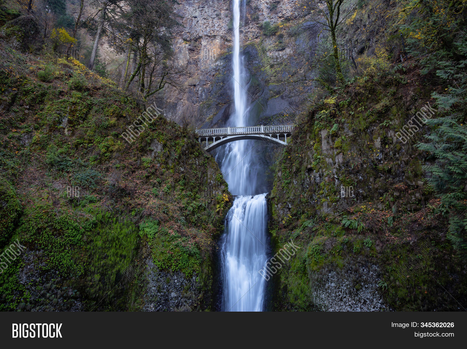 Beautiful View Bridge Image & Photo (Free Trial) | Bigstock