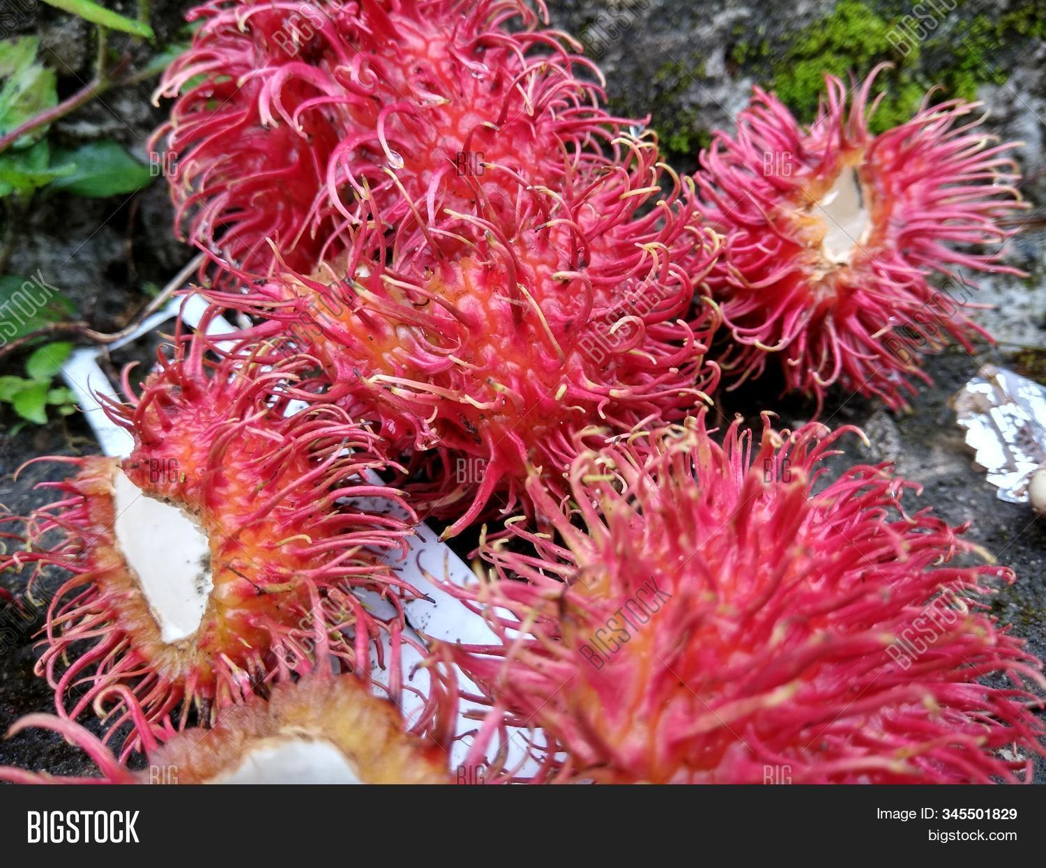 Pile Tropical Rambutan Image & Photo (Free Trial) | Bigstock