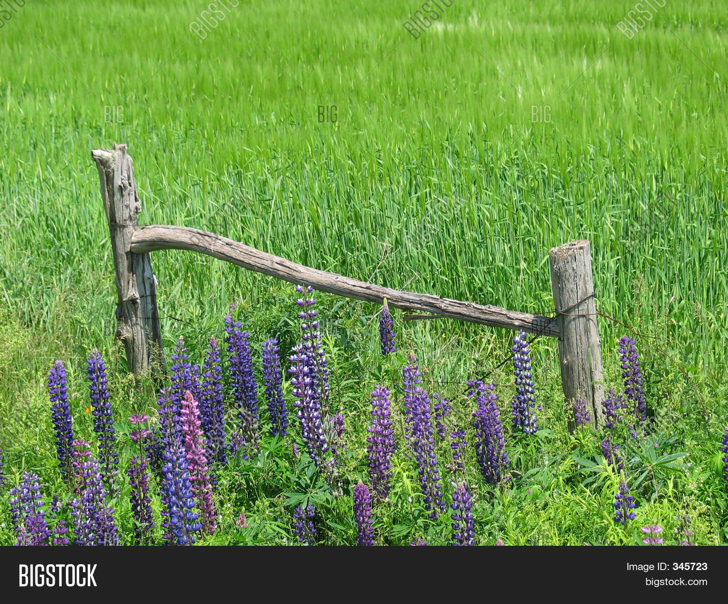 Old Farmers Fence Image & Photo (Free Trial) | Bigstock