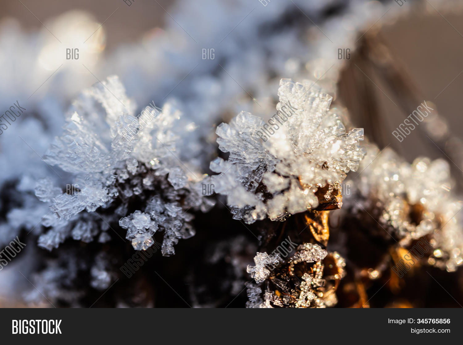 Ice Crystals On Dry Image & Photo (Free Trial) | Bigstock