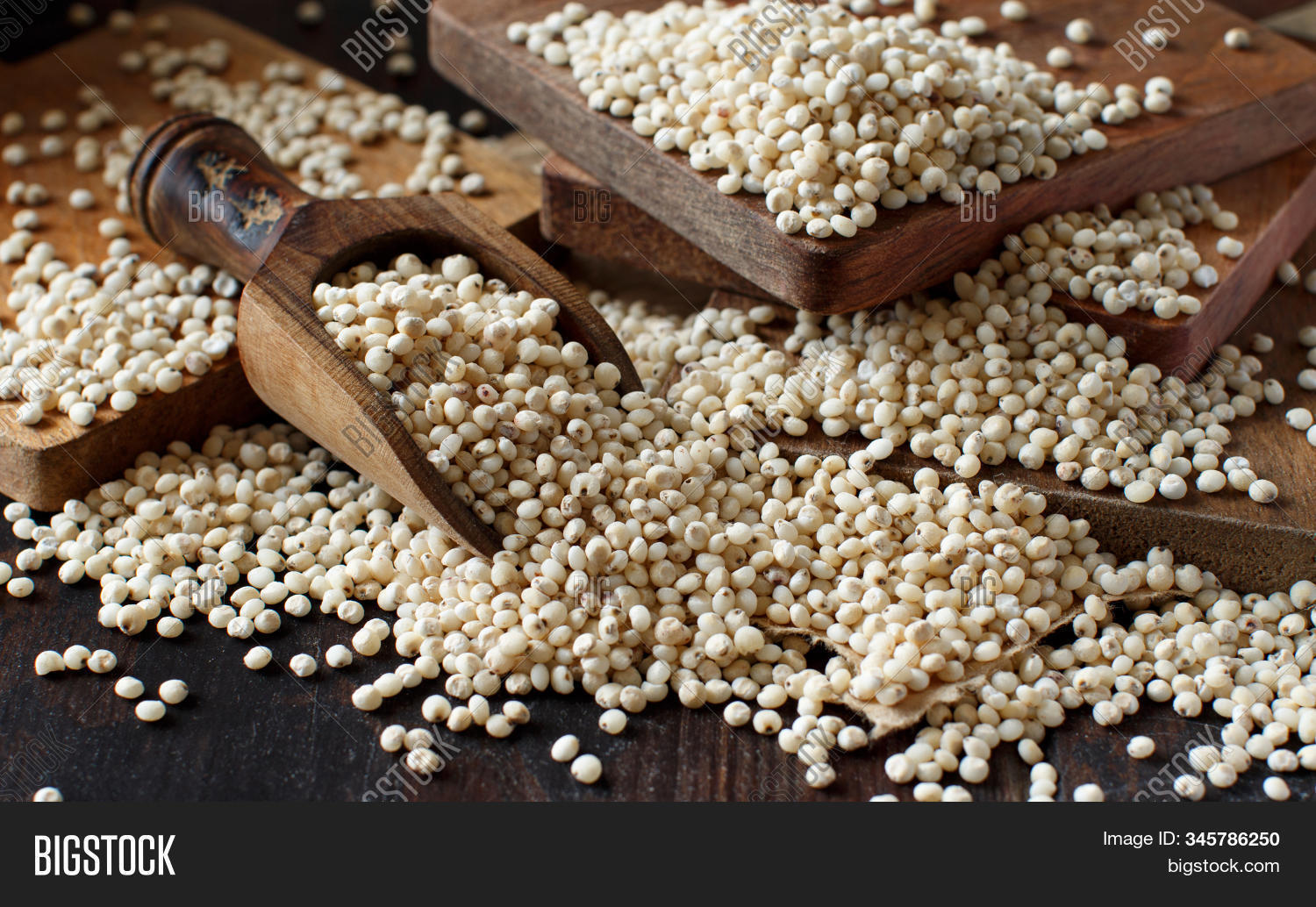 Raw White Sorghum Image & Photo (Free Trial) | Bigstock