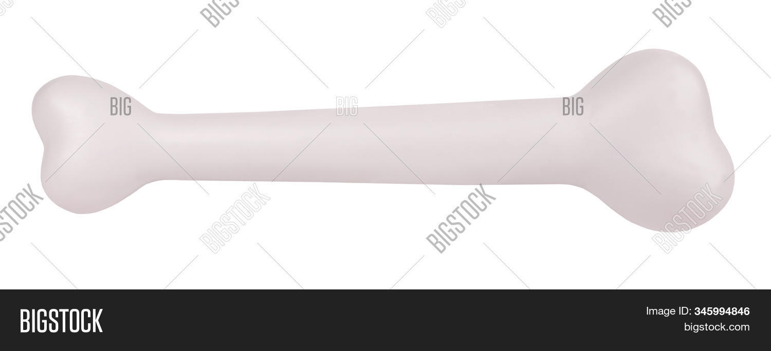Dog Bone White Pet Toy Image & Photo (Free Trial) | Bigstock
