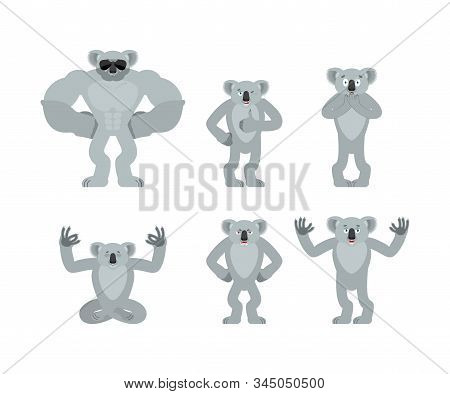 Koala Set Poses. Vector & Photo (Free Trial) | Bigstock