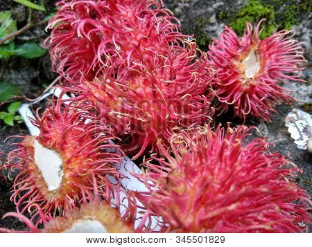 Pile Tropical Rambutan Image & Photo (Free Trial) | Bigstock