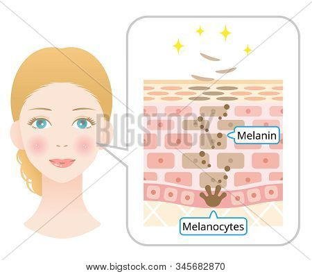 Regular Facial Cell Image & Photo (Free Trial) | Bigstock