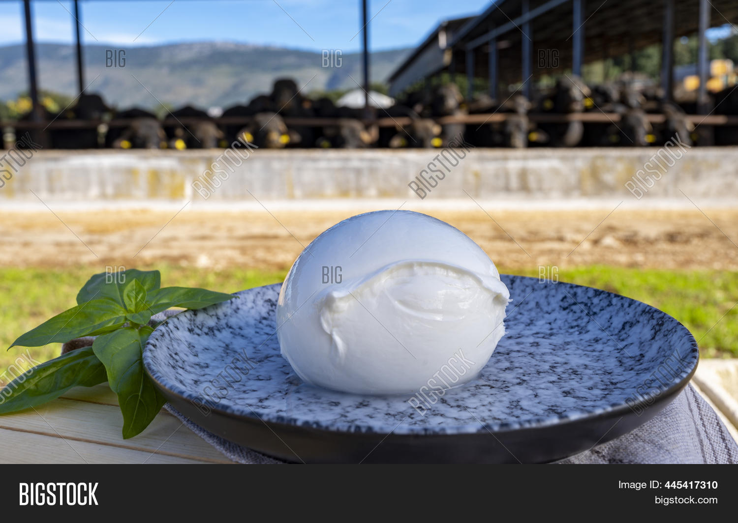 White Ball Italian Image & Photo (Free Trial) | Bigstock