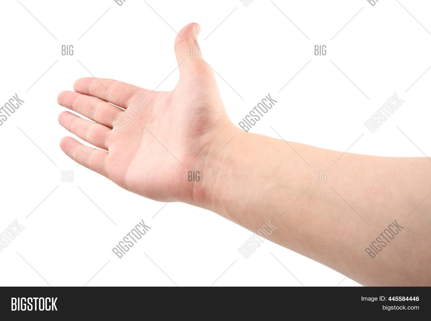 Female Hand Isolated Image & Photo (Free Trial) | Bigstock