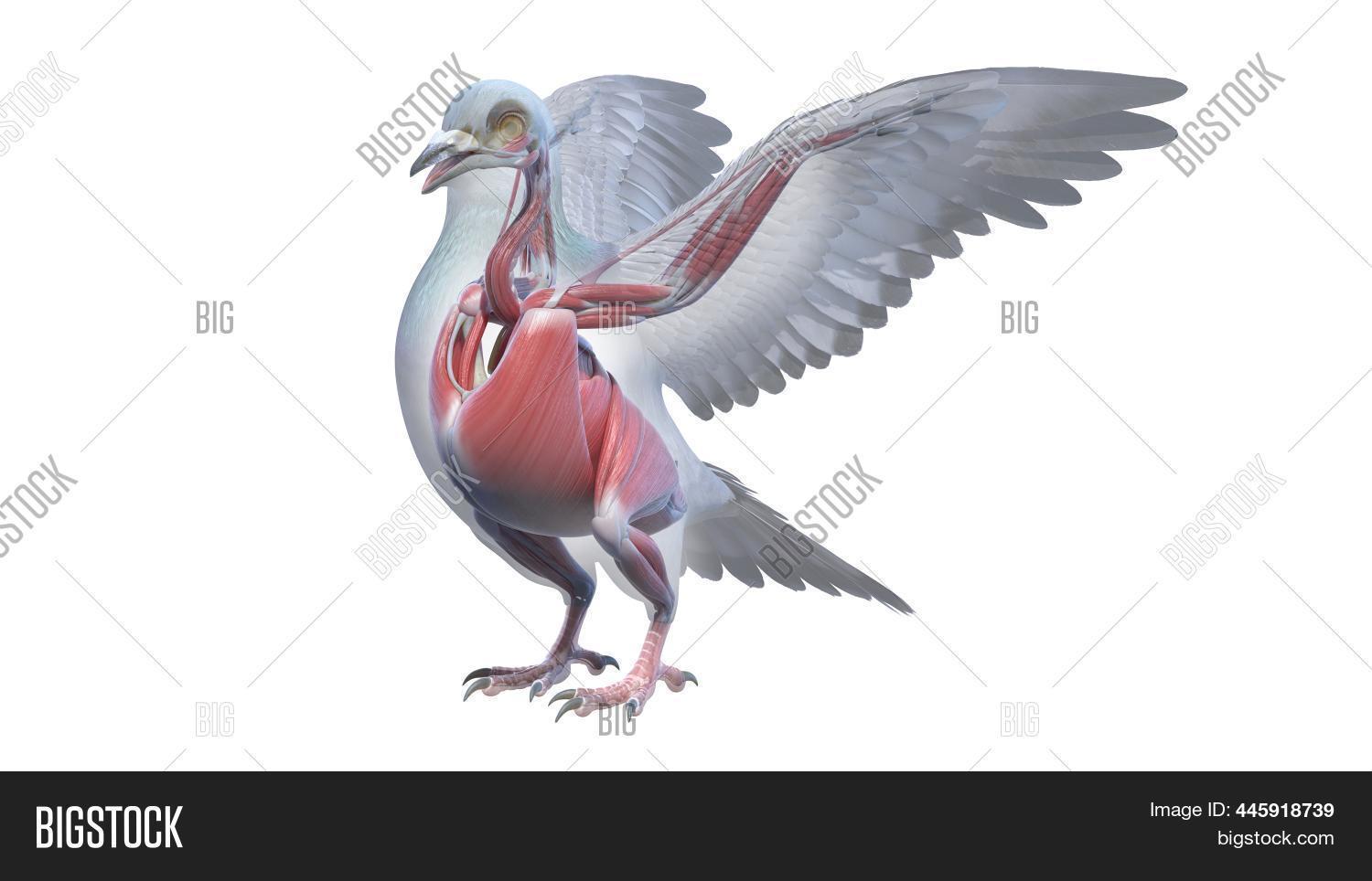 3d Rendered Image & Photo (Free Trial) | Bigstock