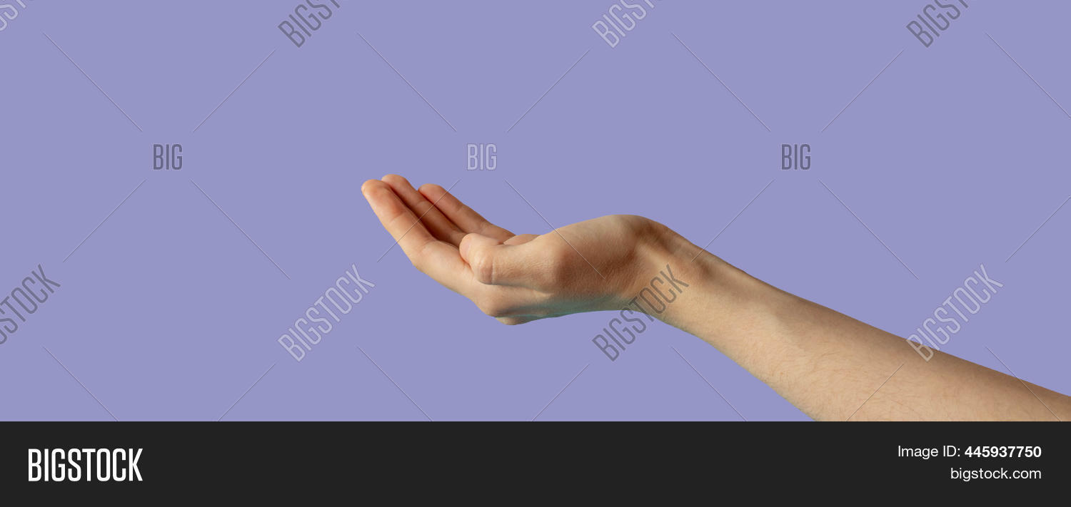 Hand Extended Palm . Image & Photo (Free Trial) | Bigstock