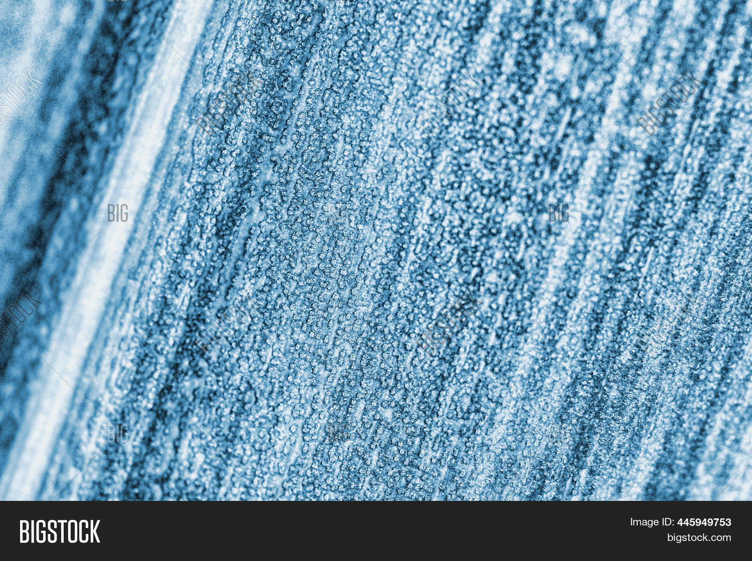 Textured Surface Image & Photo (Free Trial) | Bigstock