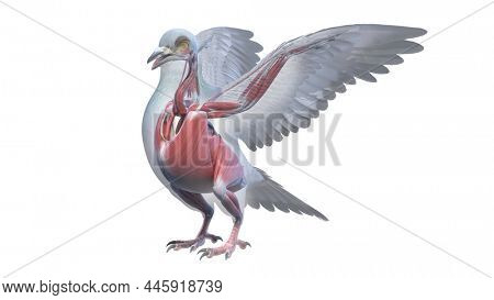 3d Rendered Image & Photo (Free Trial) | Bigstock