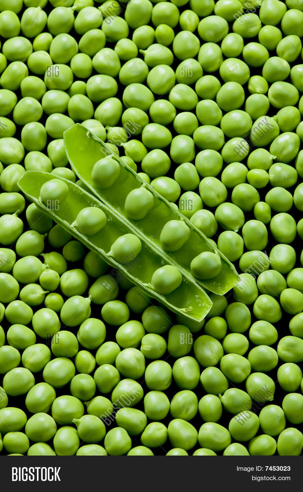 Pea Pod Peas Image & Photo (Free Trial) | Bigstock