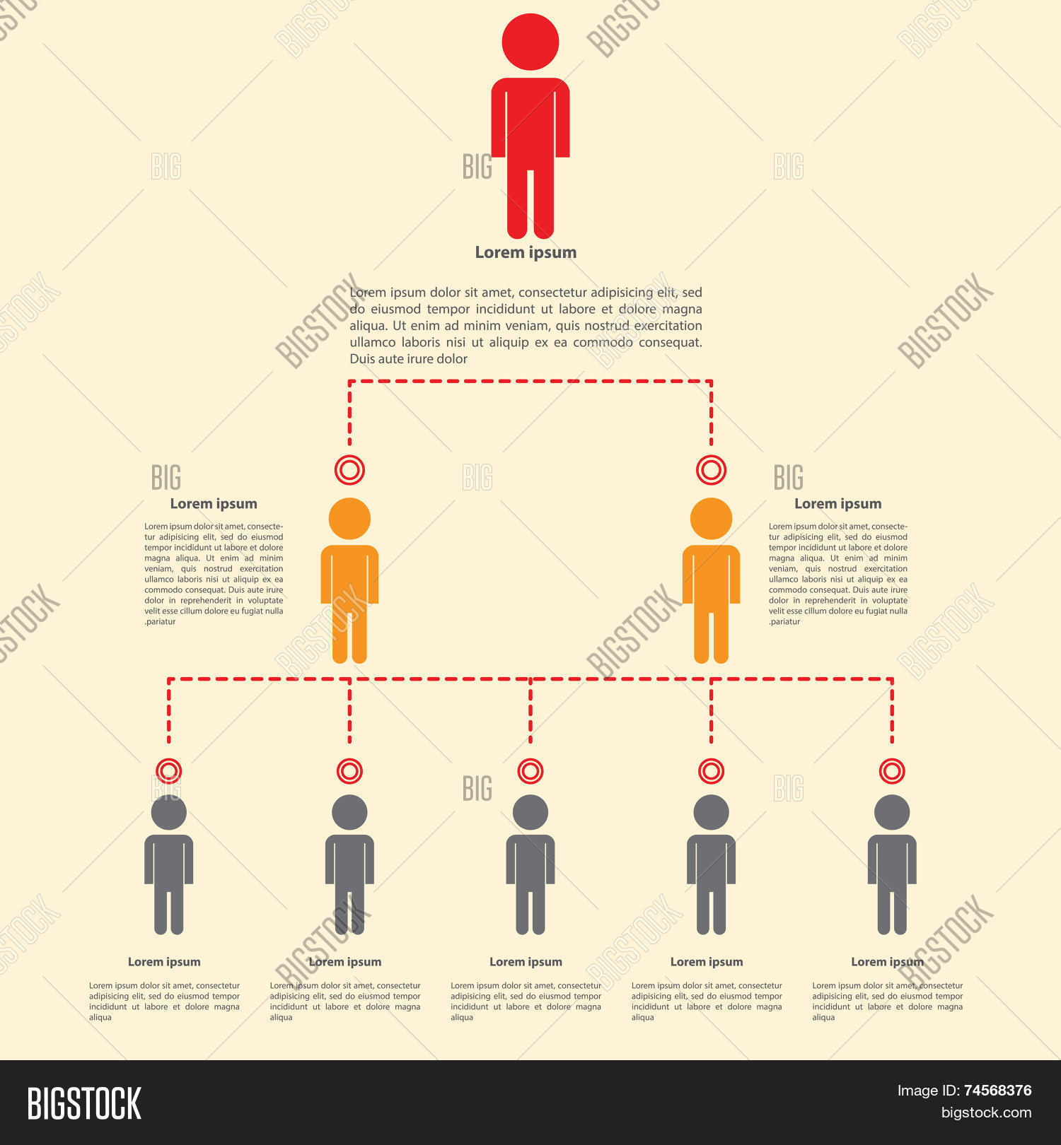 Organization Chart Vector & Photo (Free Trial) | Bigstock