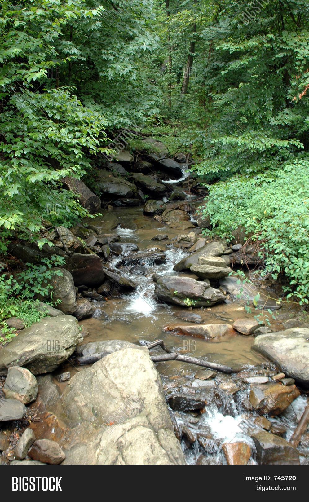 Creek Image & Photo (Free Trial) | Bigstock