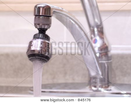 Fosit Images, Illustrations & Vectors (Free) - Bigstock