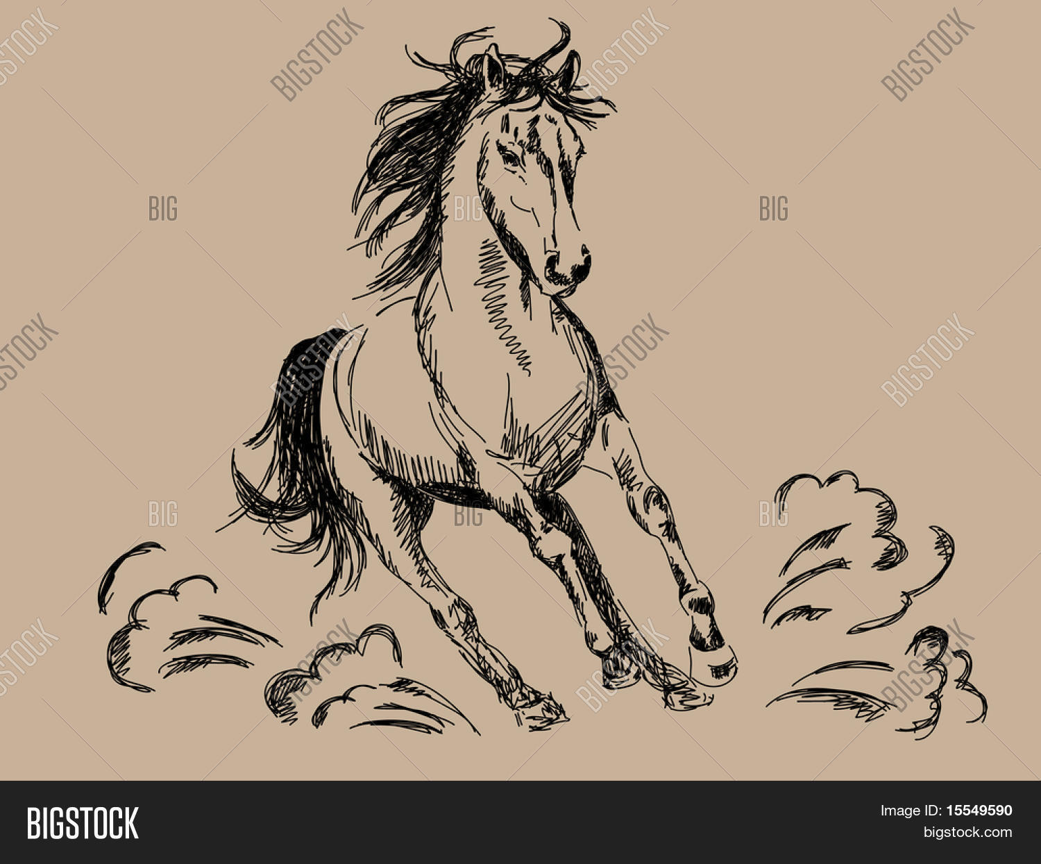 Hand Drawn Horse Vector & Photo (Free Trial) | Bigstock