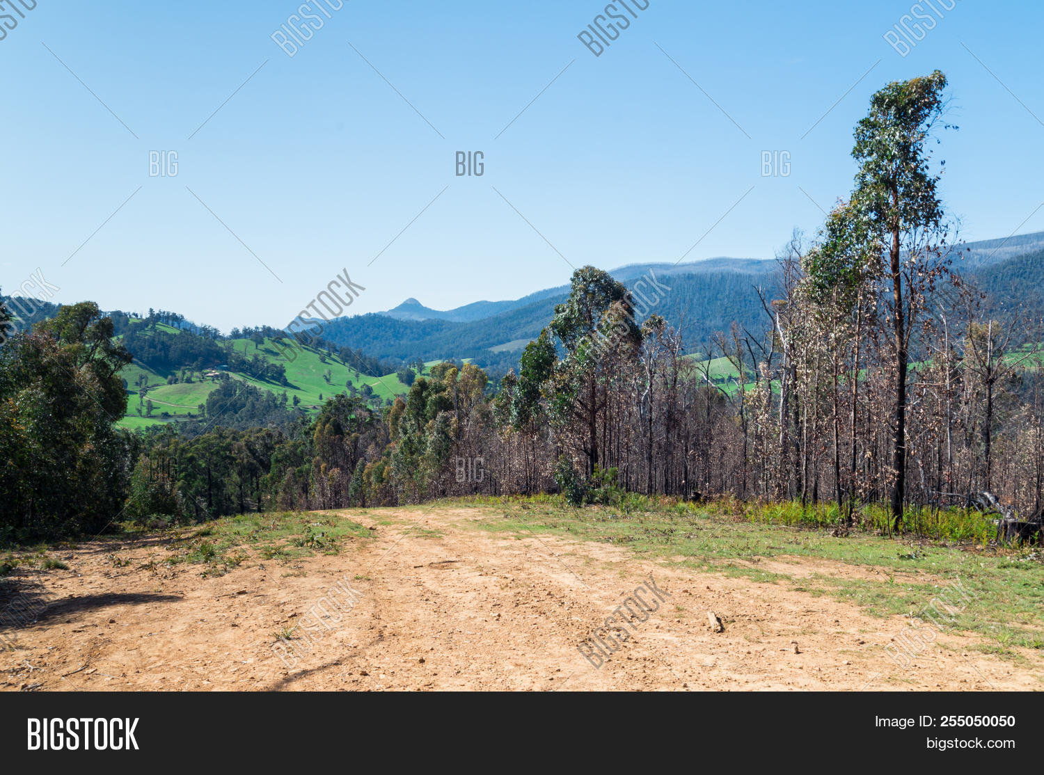 Fire Access Track Image & Photo (Free Trial) | Bigstock