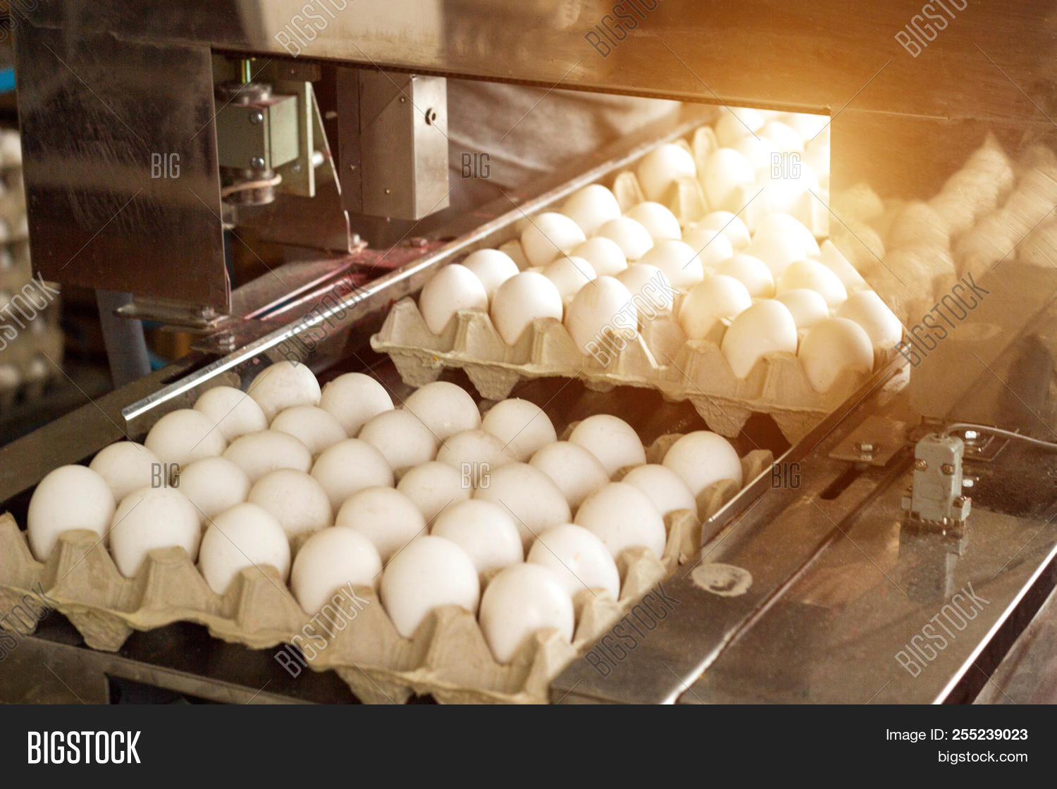 Production Sorting Image & Photo (Free Trial) | Bigstock