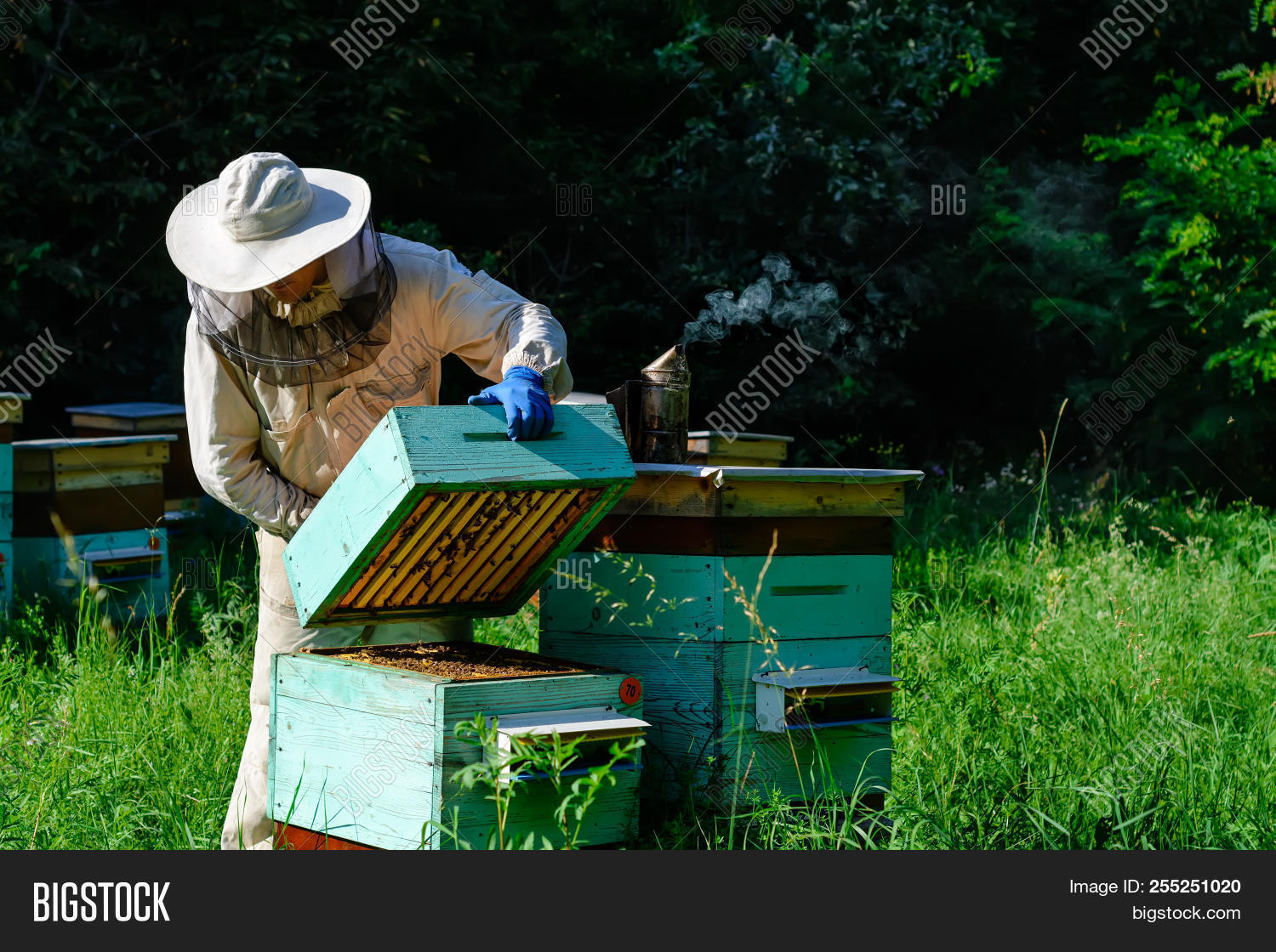 Young Man Beekeeper Image & Photo (Free Trial) | Bigstock