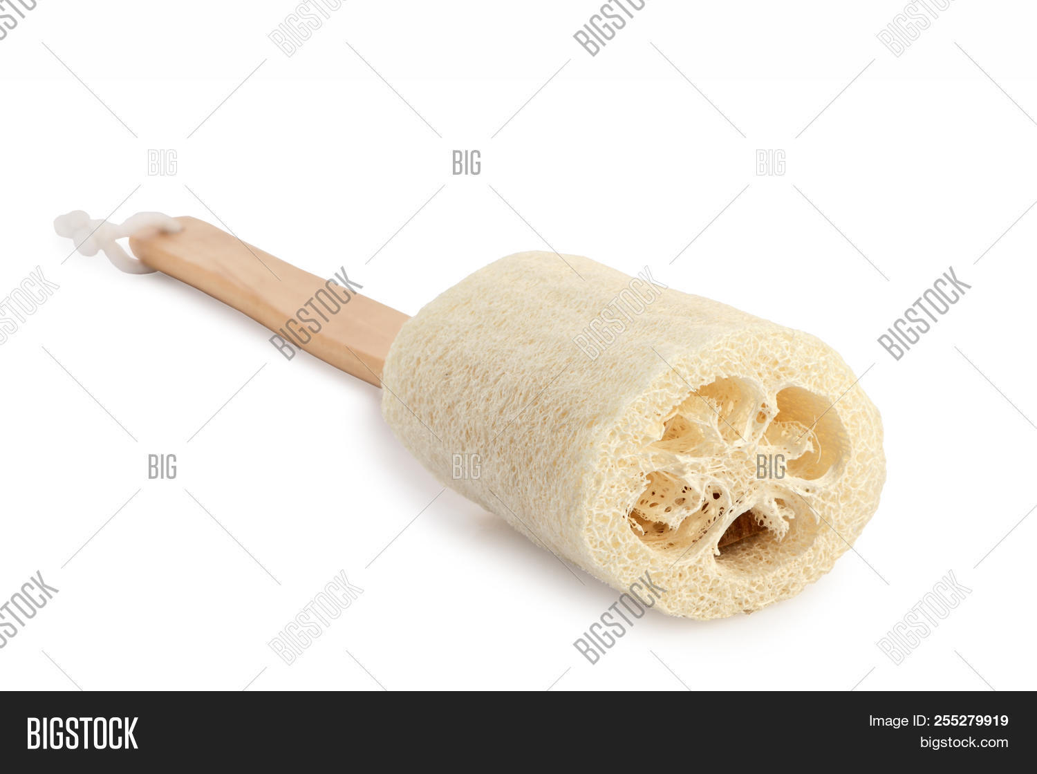 Luffa Sponge Natural Image & Photo (Free Trial) | Bigstock